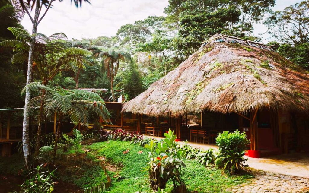 Home - Amazon Rainforest Lodge, Ecolodge Ecuador Jungle - Huasquila